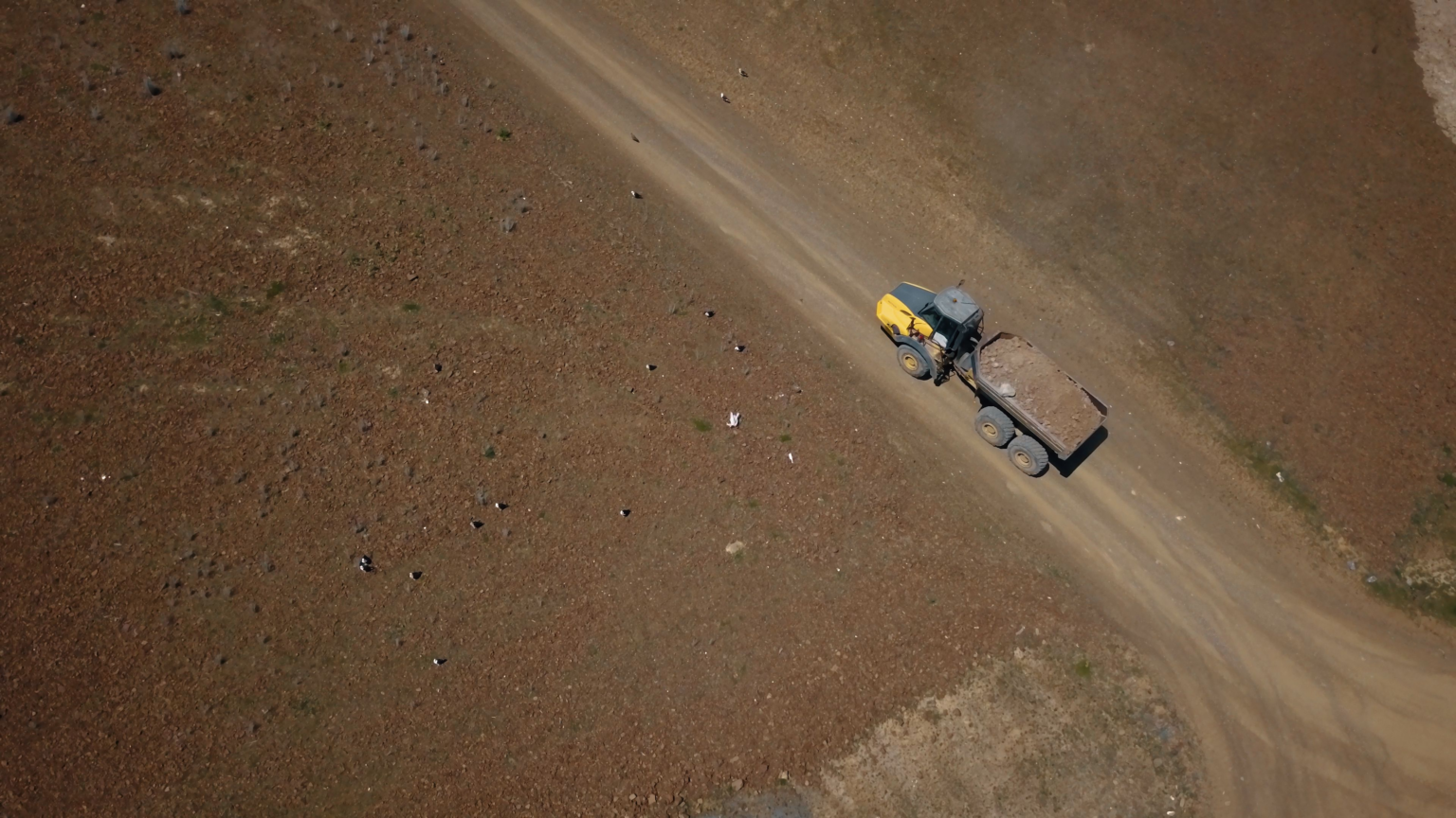 Homepage - Southern Waste Solutions Tasmania